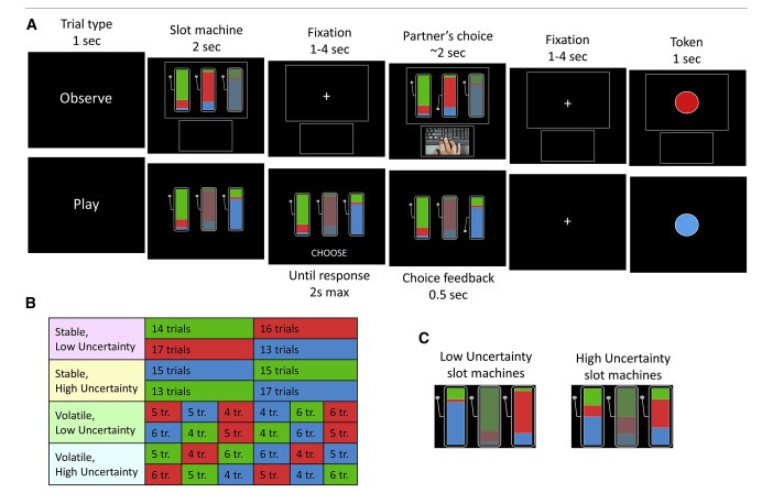 Investigating The Role Of Imitation And Emulation In Decision Making